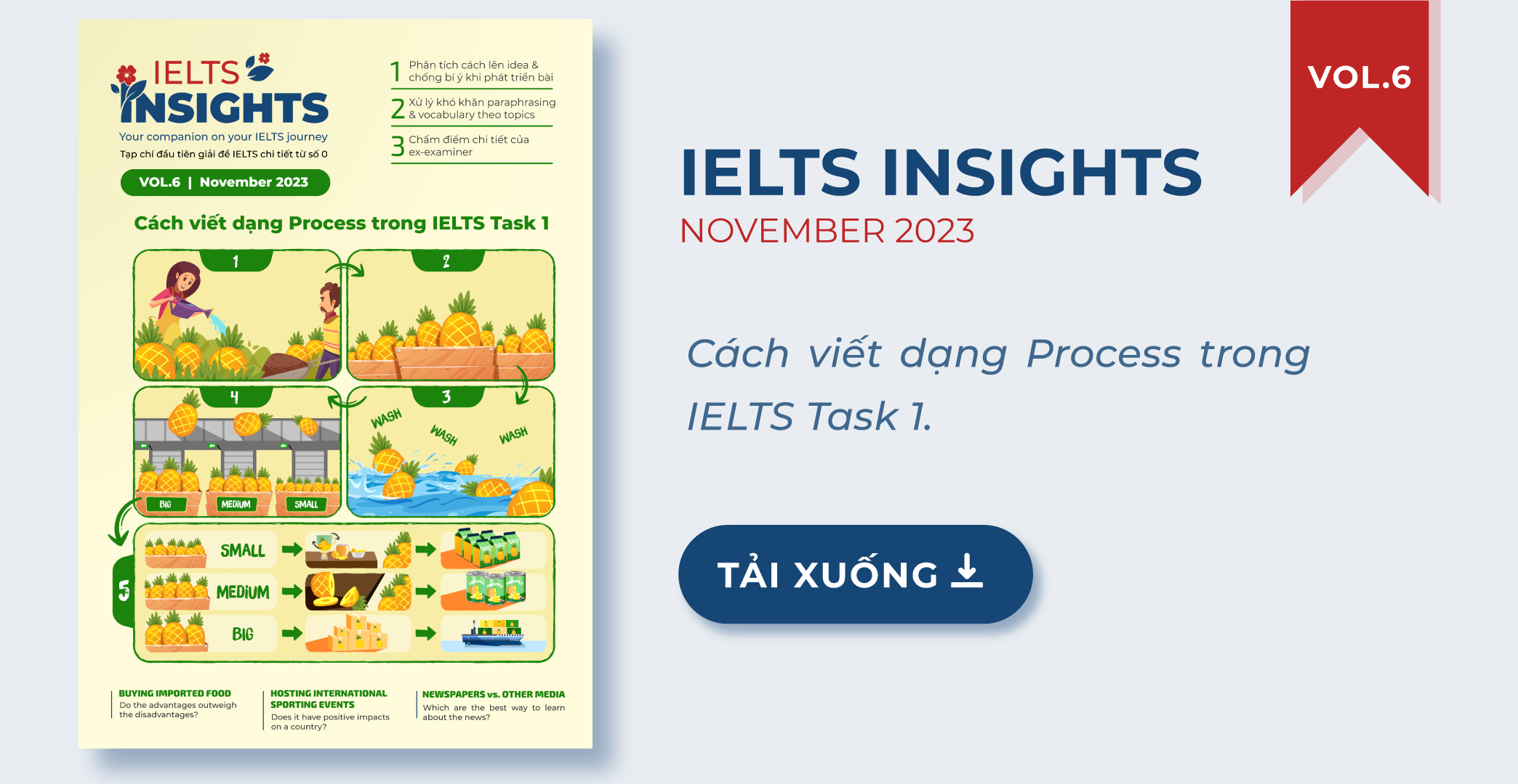 IELTS Insights - IELTS 1984 VN